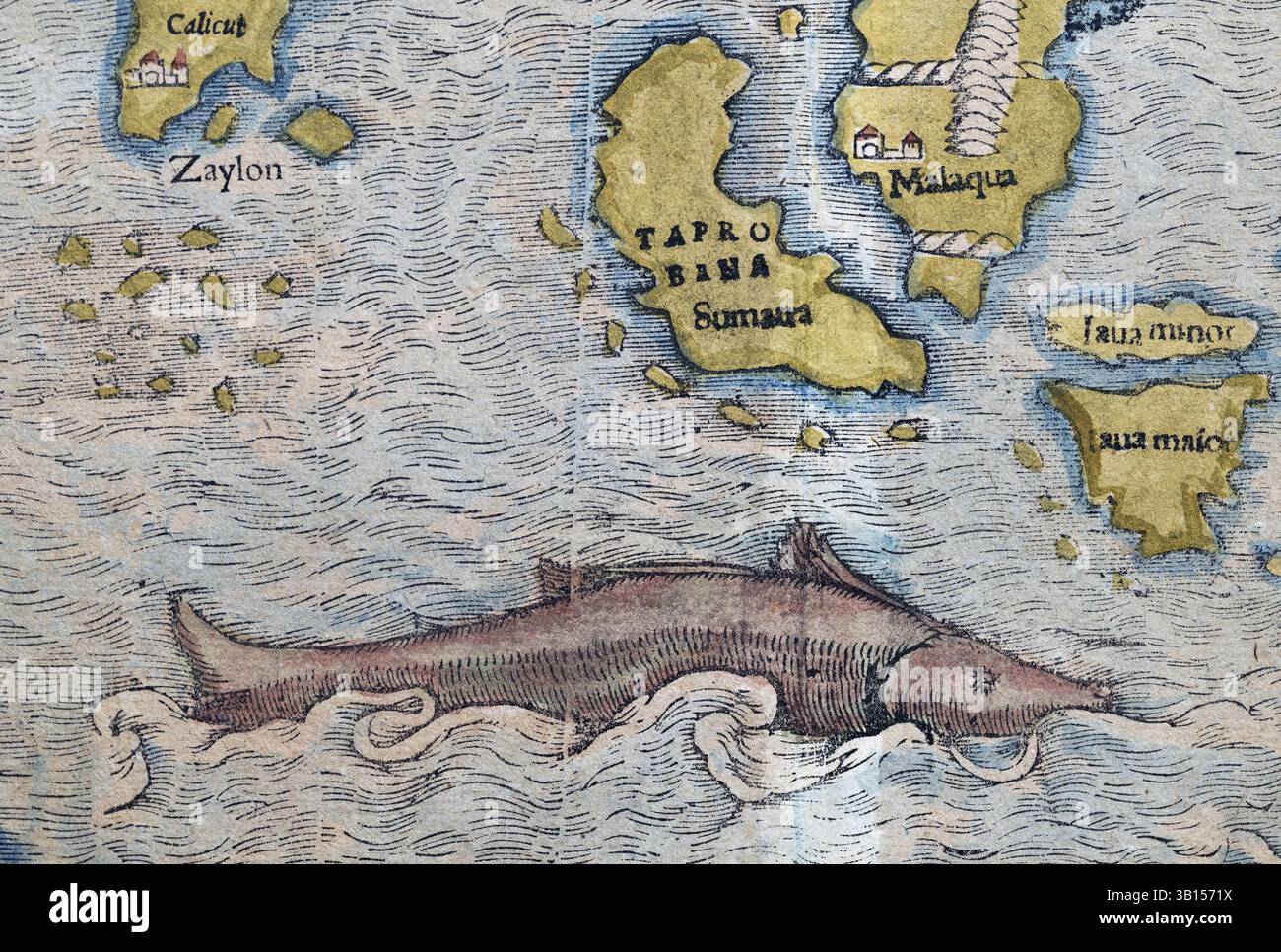 South India, Sumatra, Malaysia, sea monster, detail, hand-coloured ...