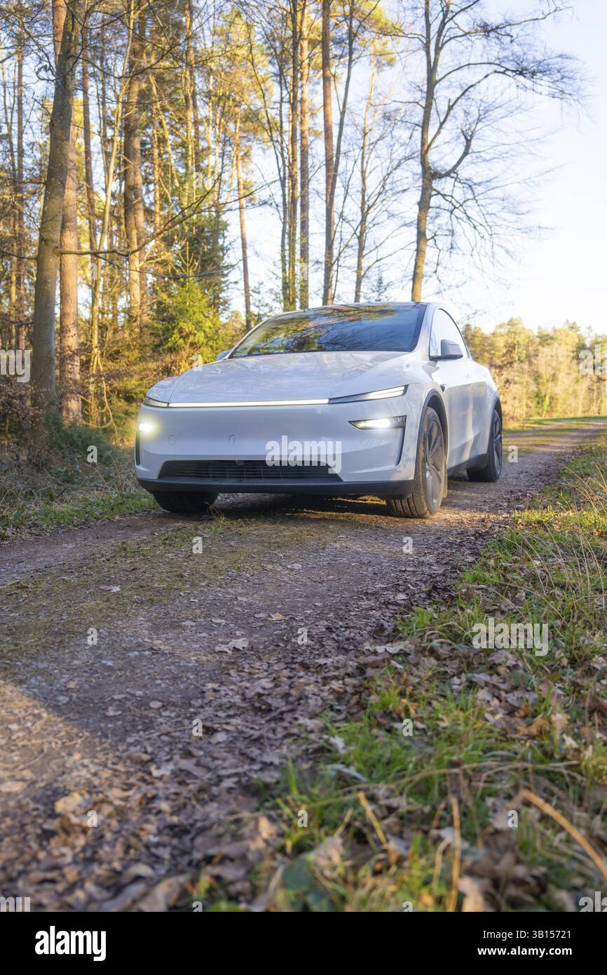 White electric car driving on a forest path, surrounded by trees and ...