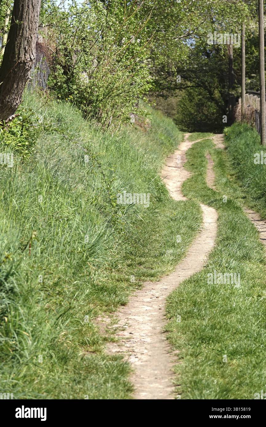 Hiking trail, spring, Germany, Europe Stock Photo - Alamy