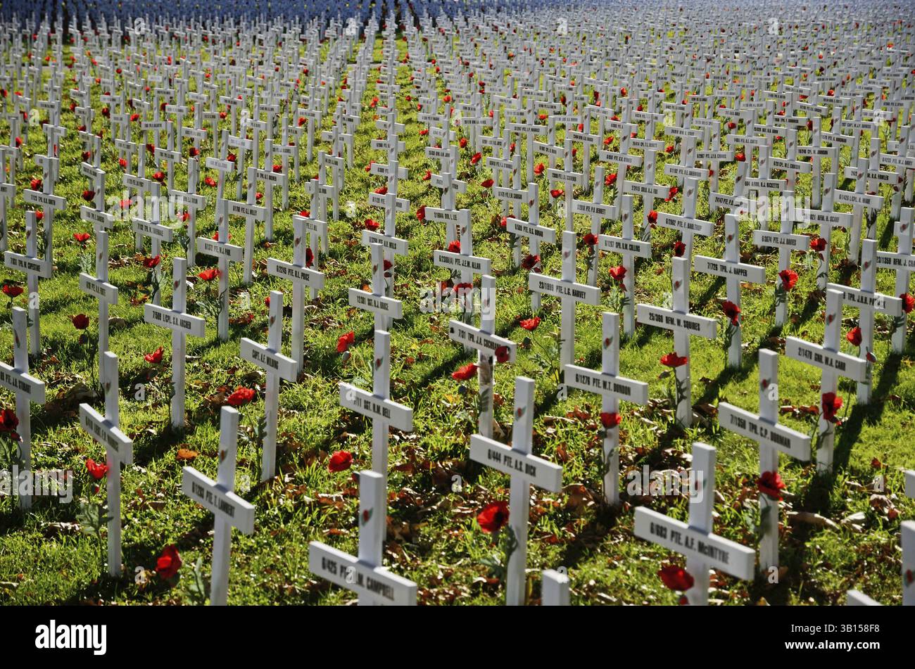 A field of crosses represents those who died in the Great War for a ...