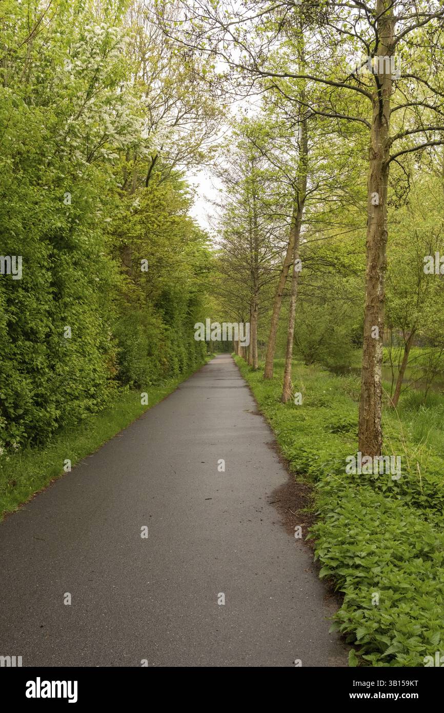 Winding paved path meandering hi-res stock photography and images - Alamy