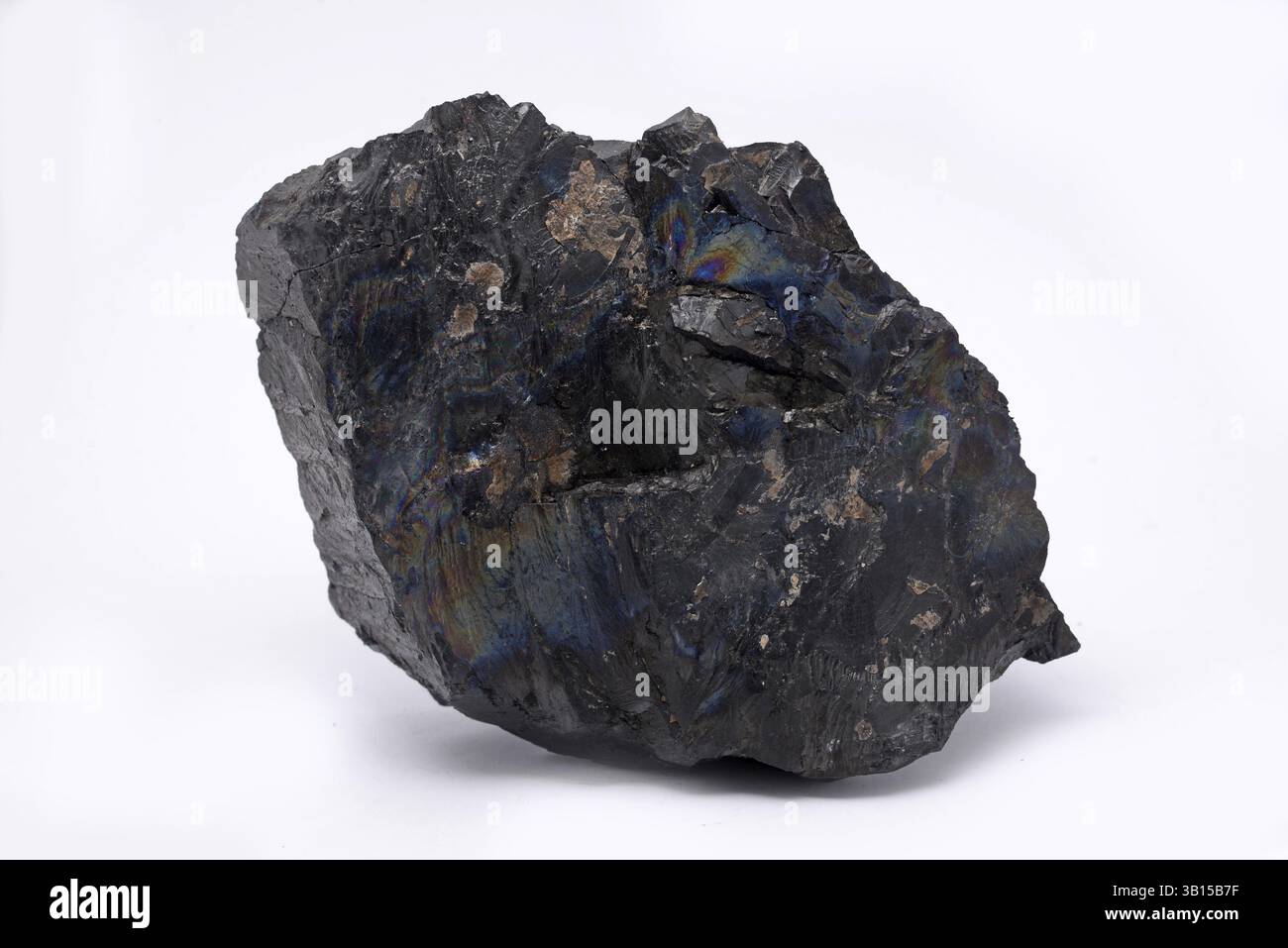A piece of anthracite from a New Zealand mine, known to the miners as ...