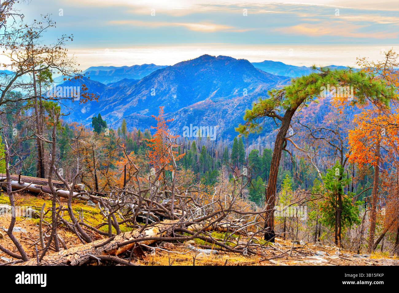 Sweeping view of Sequoia National Park showcasing colorful autumn ...