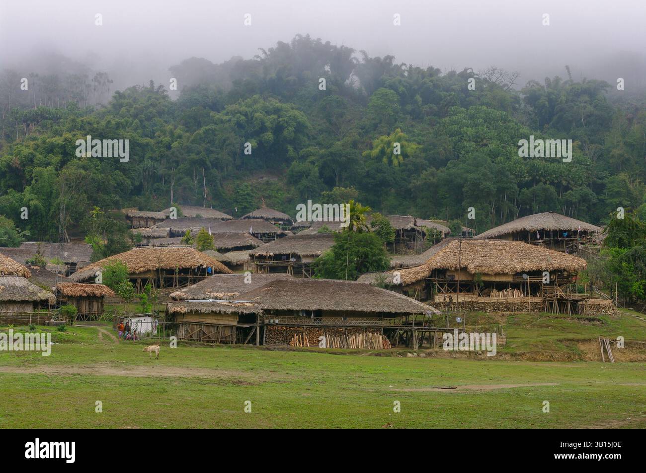 Scenic landscape view of traditional Adi Minyong tribal village with ...