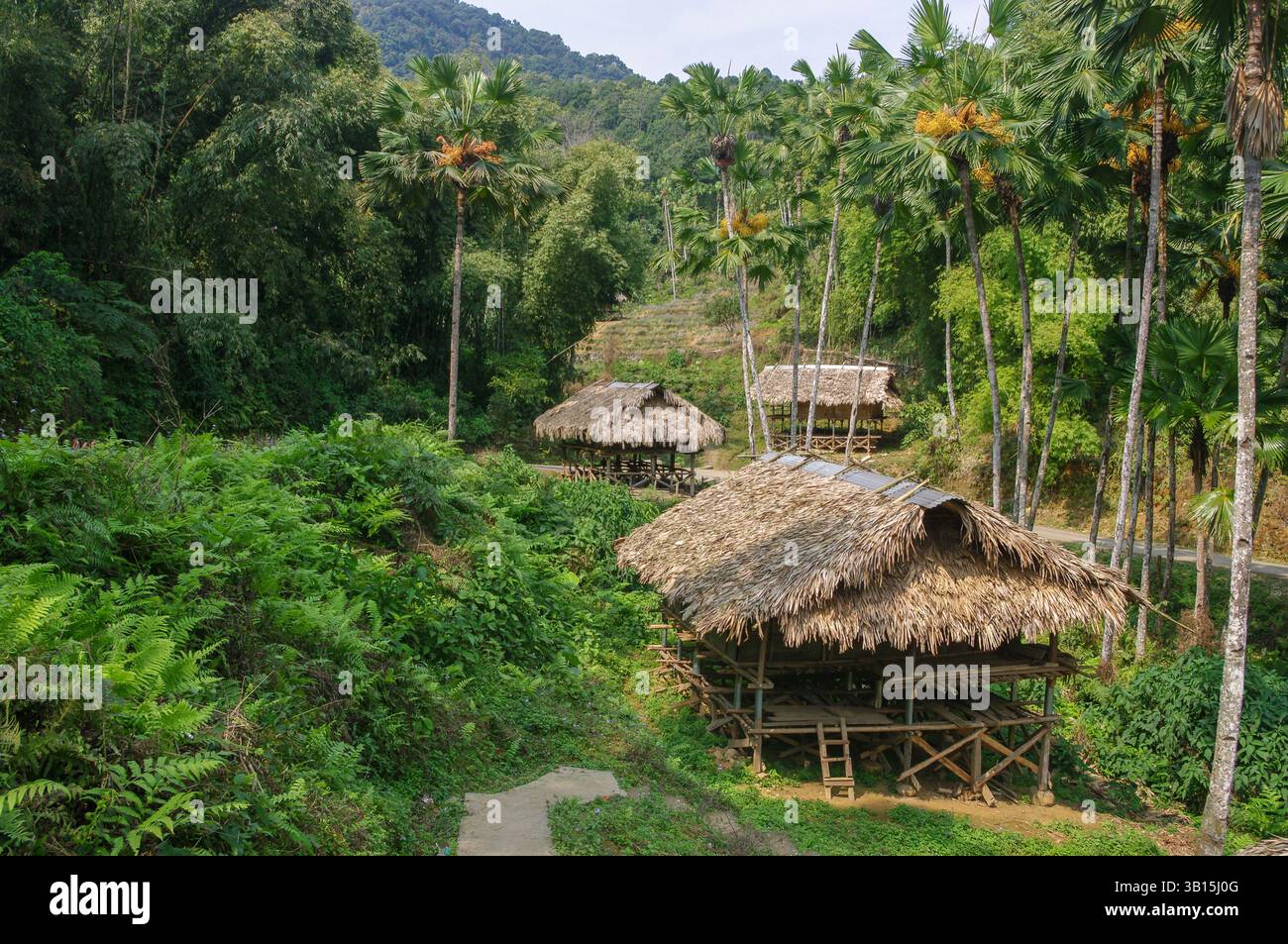 Scenic landscape view of traditional rice granaries outside Adi tribe ...