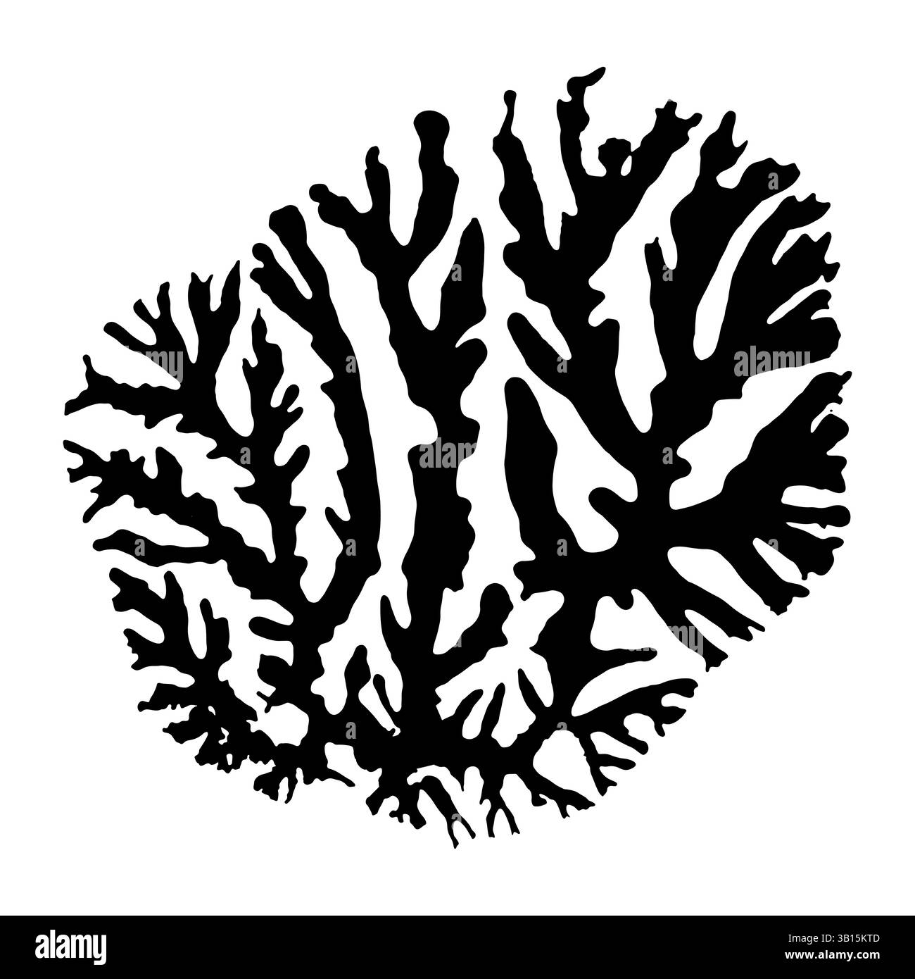 Medicine petri dish icon Black and White Stock Photos & Images - Alamy