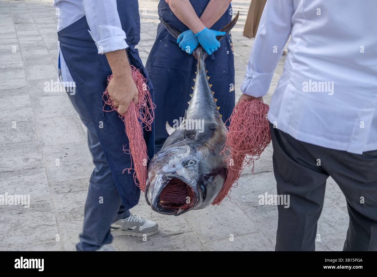 A large tuna just caught in Sicily, Italy Stock Photo - Alamy