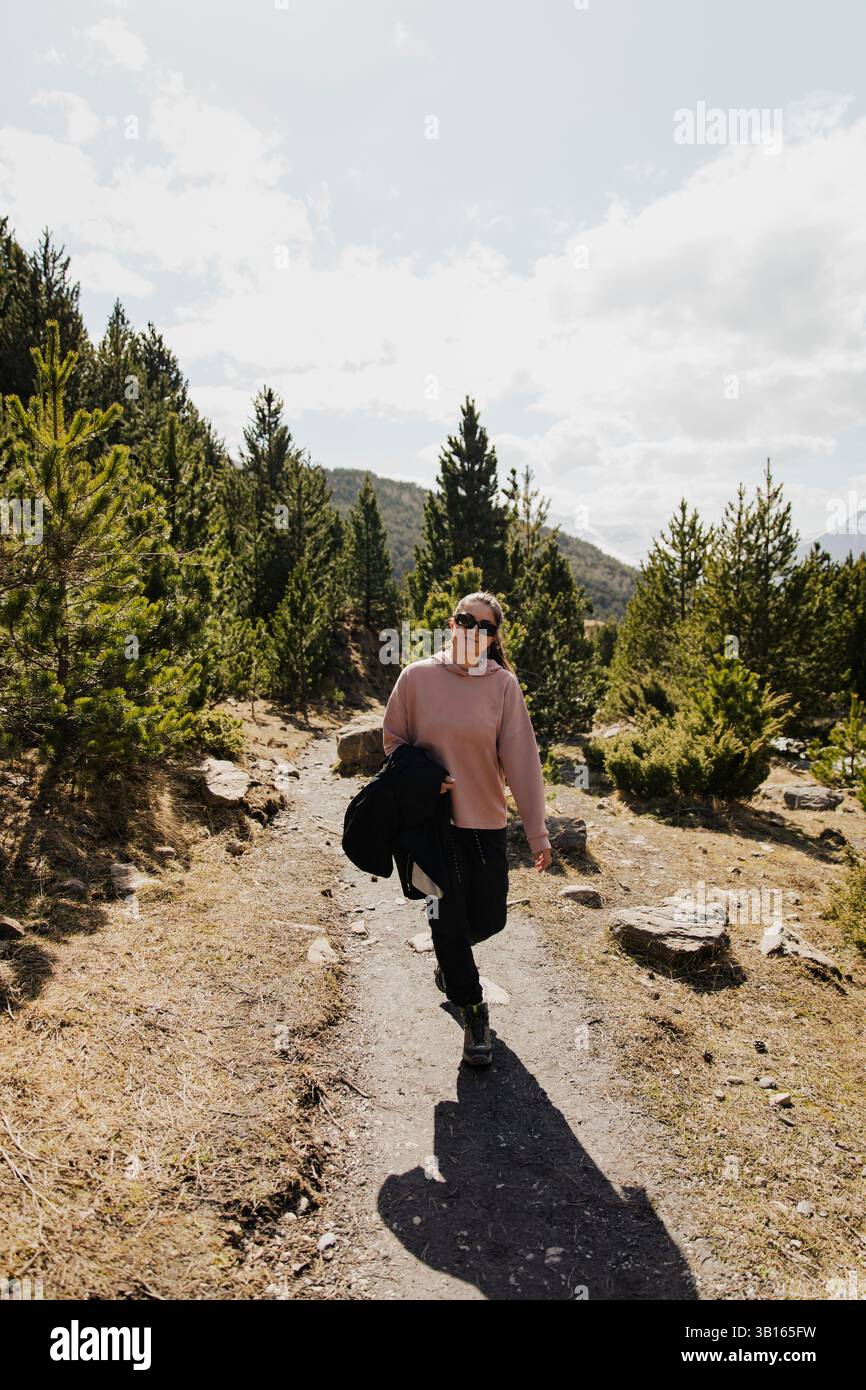 Serene forest path sunlit hi-res stock photography and images - Alamy