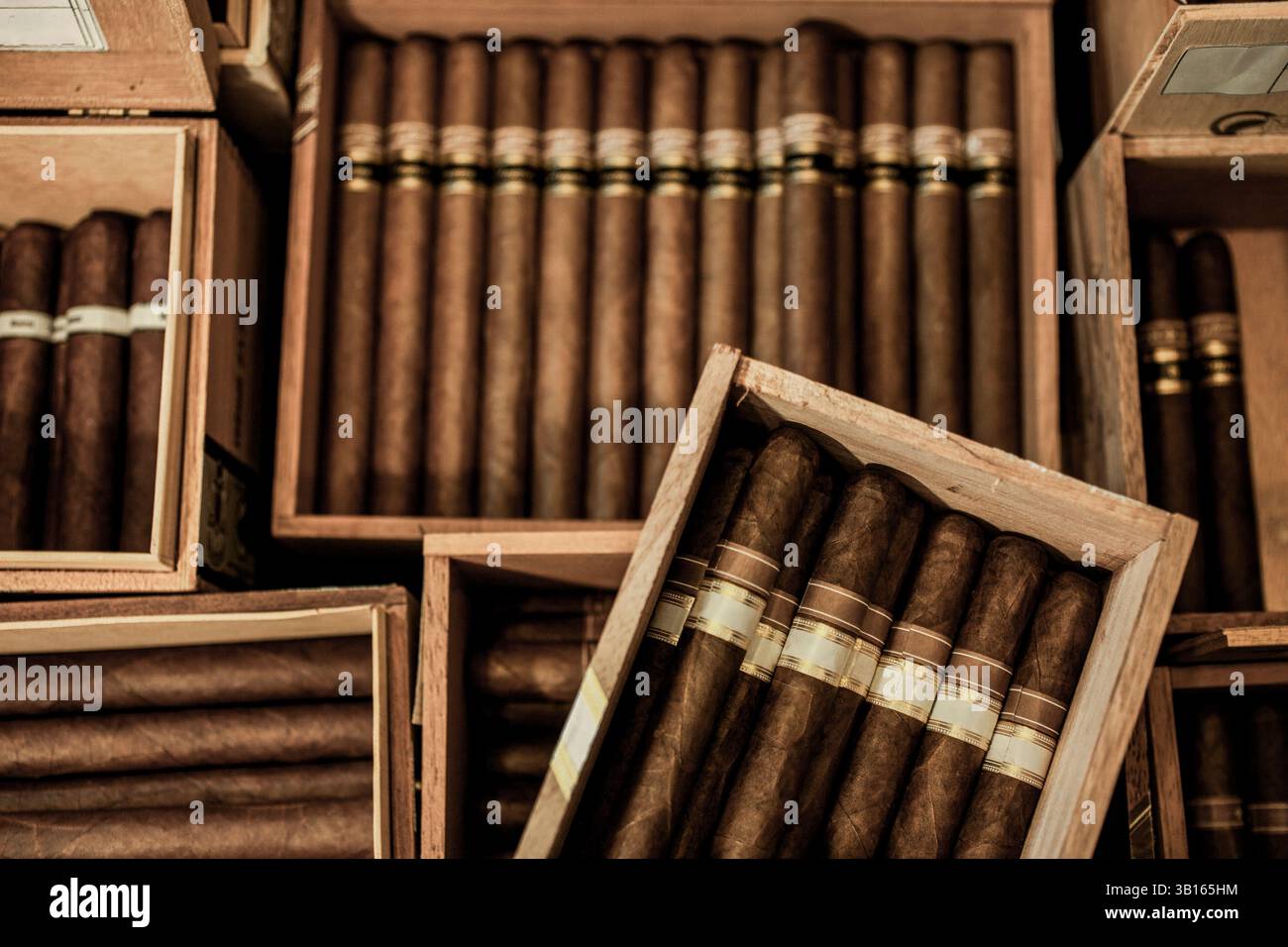 Stacks of new cigars in wooden boxes piled up Stock Photo - Alamy