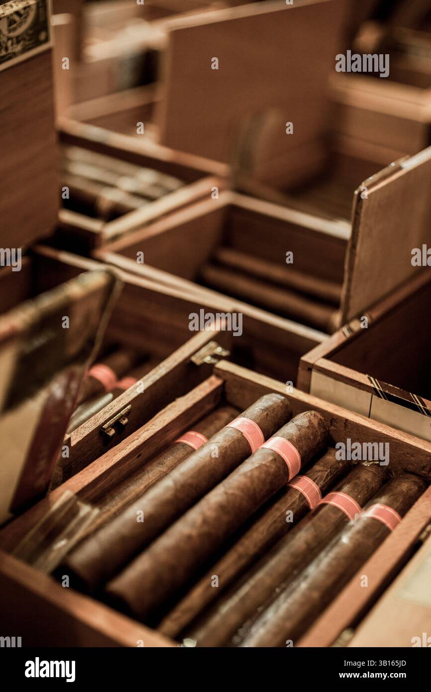 Stacks of new cigars in wooden boxes piled up vertical Stock Photo - Alamy