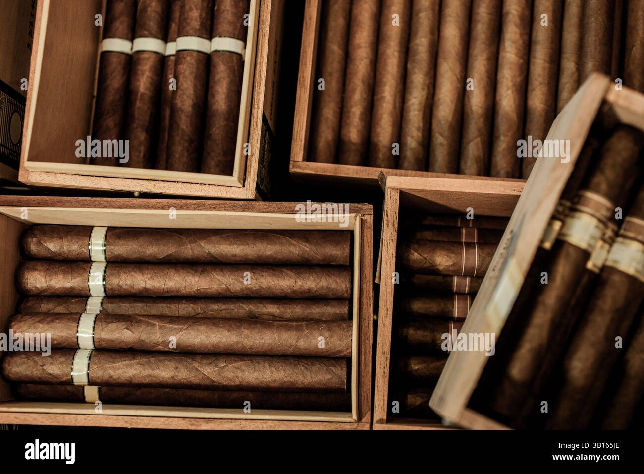 Stacks of new cigars in wooden boxes Stock Photo - Alamy