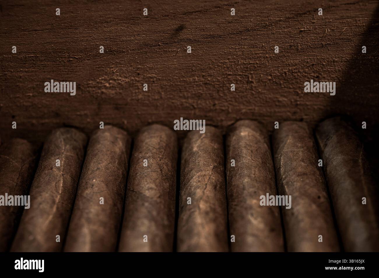Rolled cigars lined up in a wood box Stock Photo - Alamy