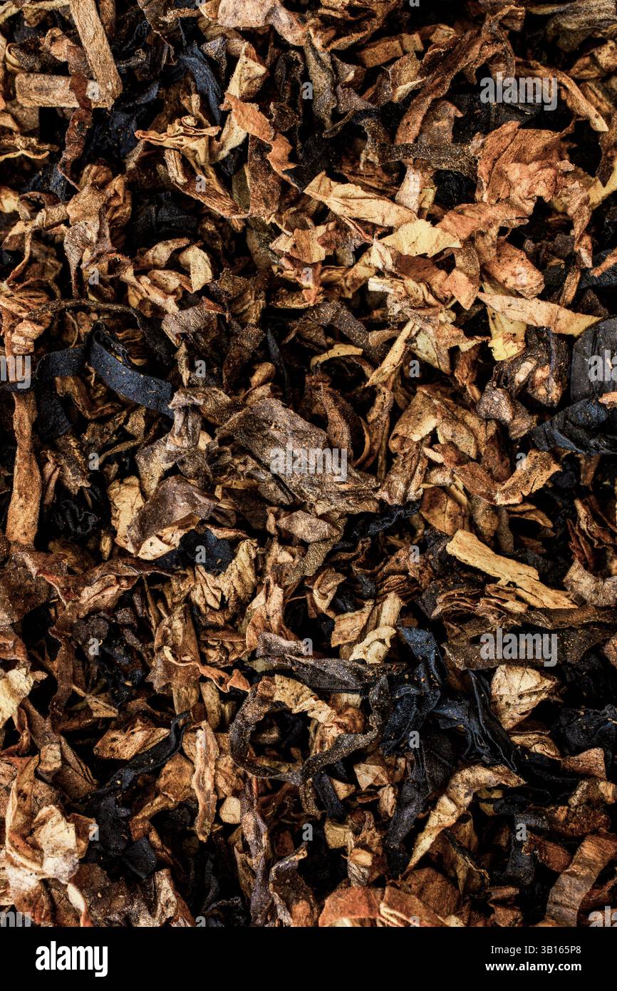 Pile of raw loose tobacco filing frame Stock Photo - Alamy