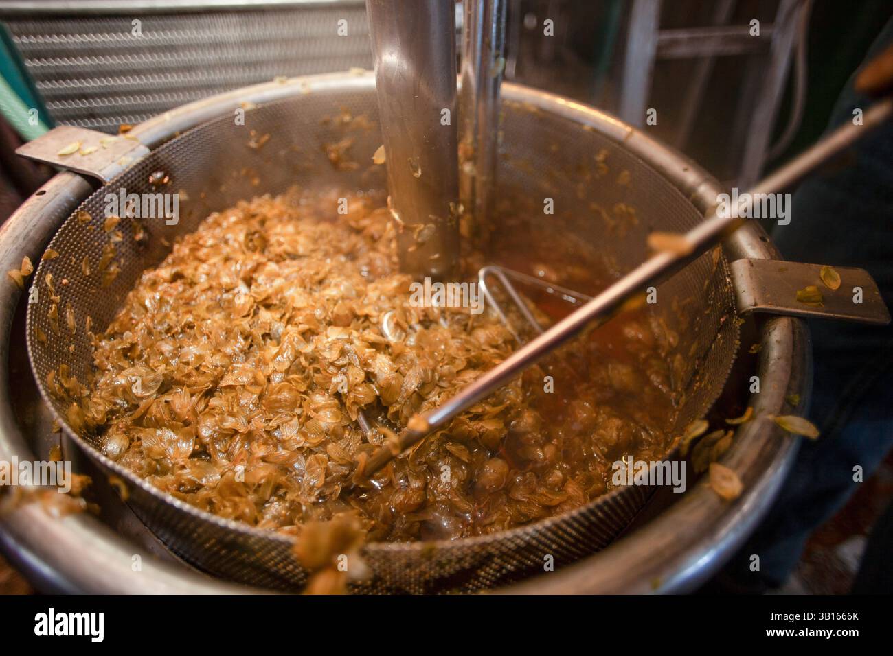 Process of making beer hi-res stock photography and images - Alamy