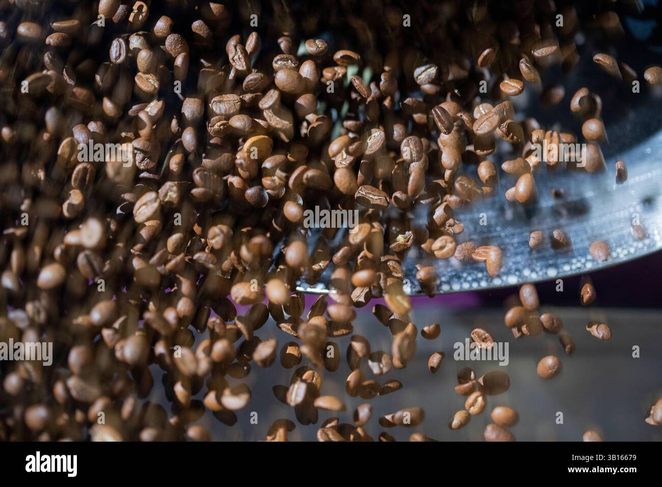 Roasted coffee bean pour out of the hopper Stock Photo - Alamy