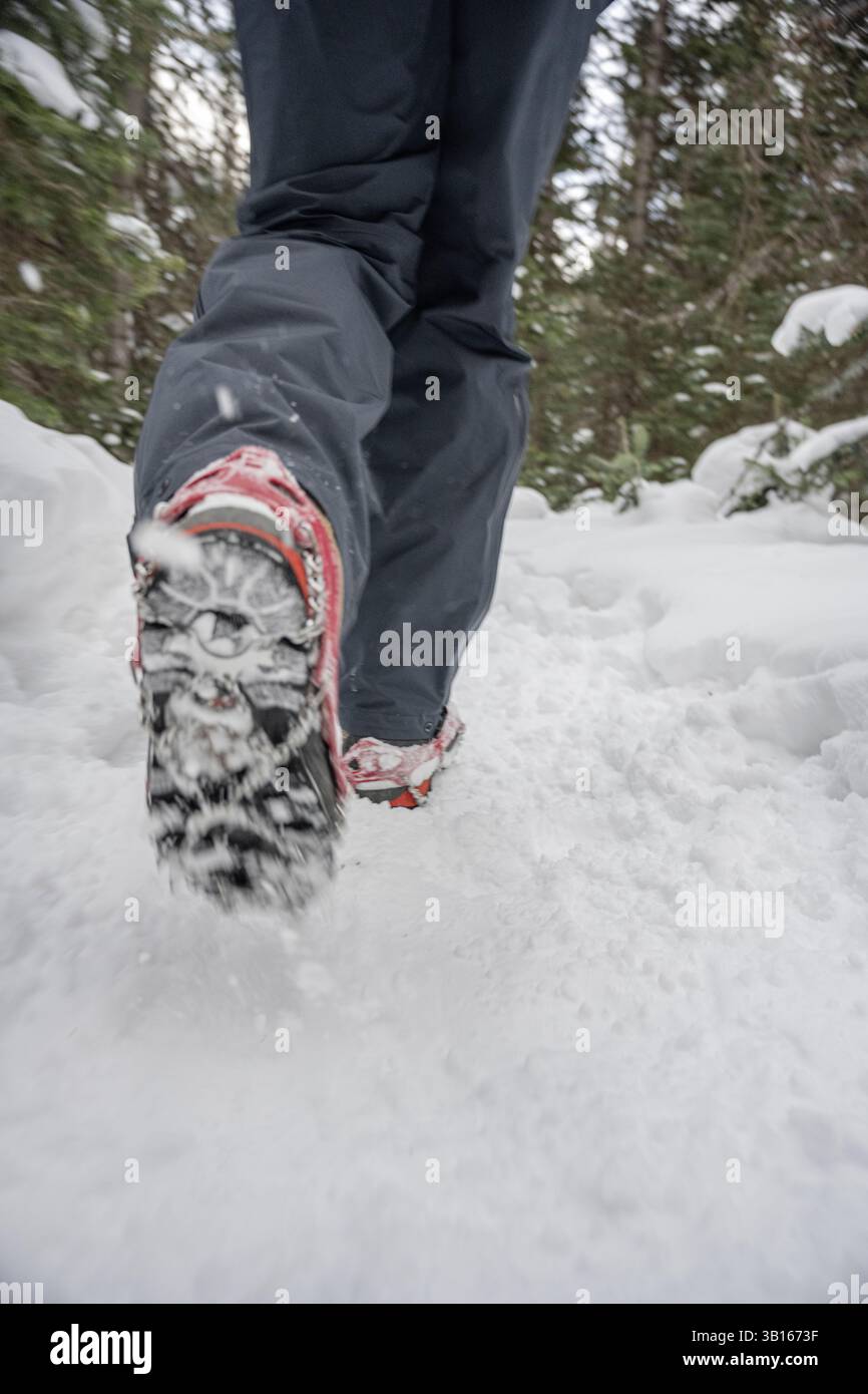 Hiking with spikes in the snow Stock Photo - Alamy