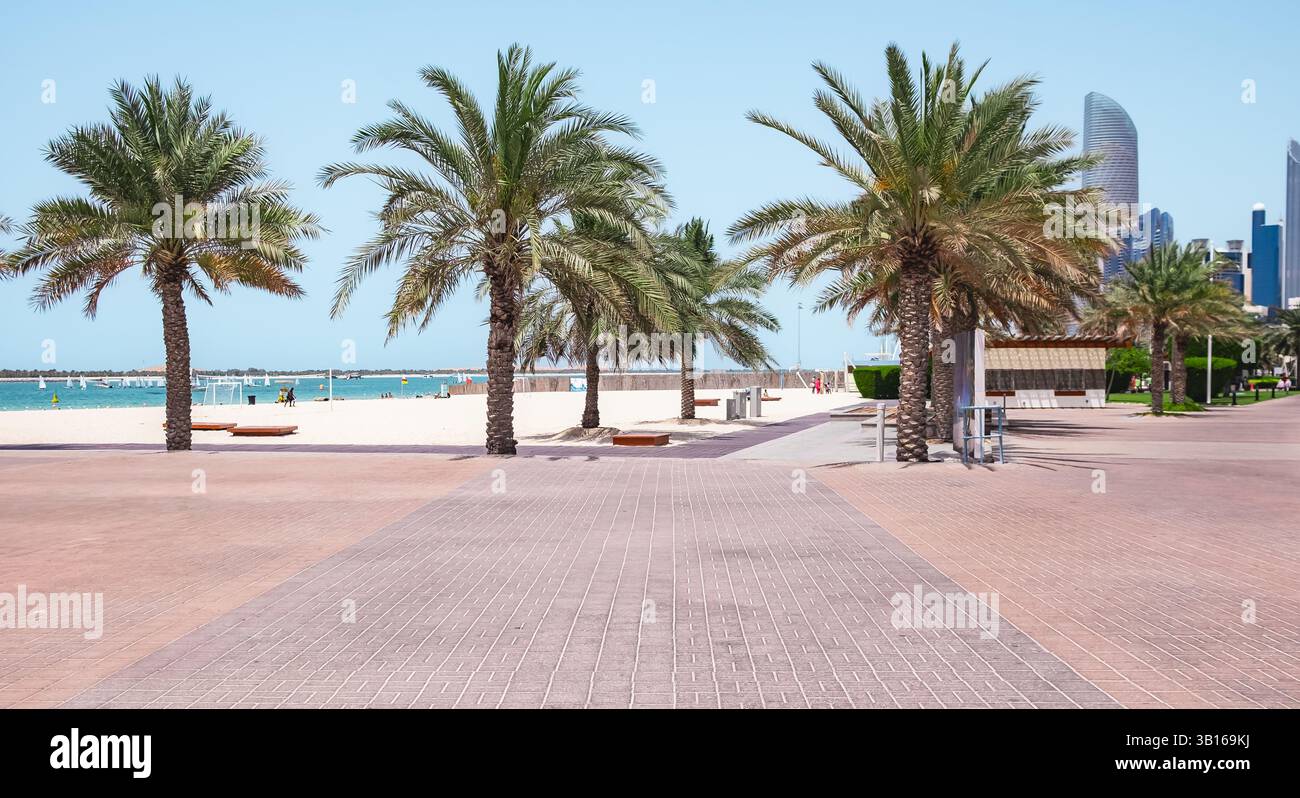 Palm trees with walkway leading to the Beach with clear blue sky ...