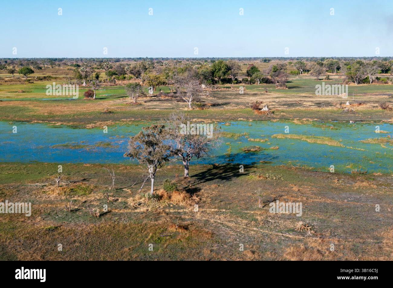 An aerial view of the Okavango Delta, Botswana, Okavango Delta Stock ...