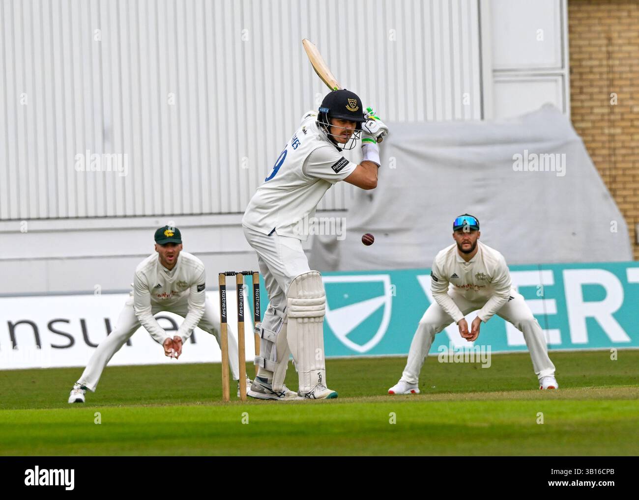 Cricket sussex haines hi-res stock photography and images - Alamy