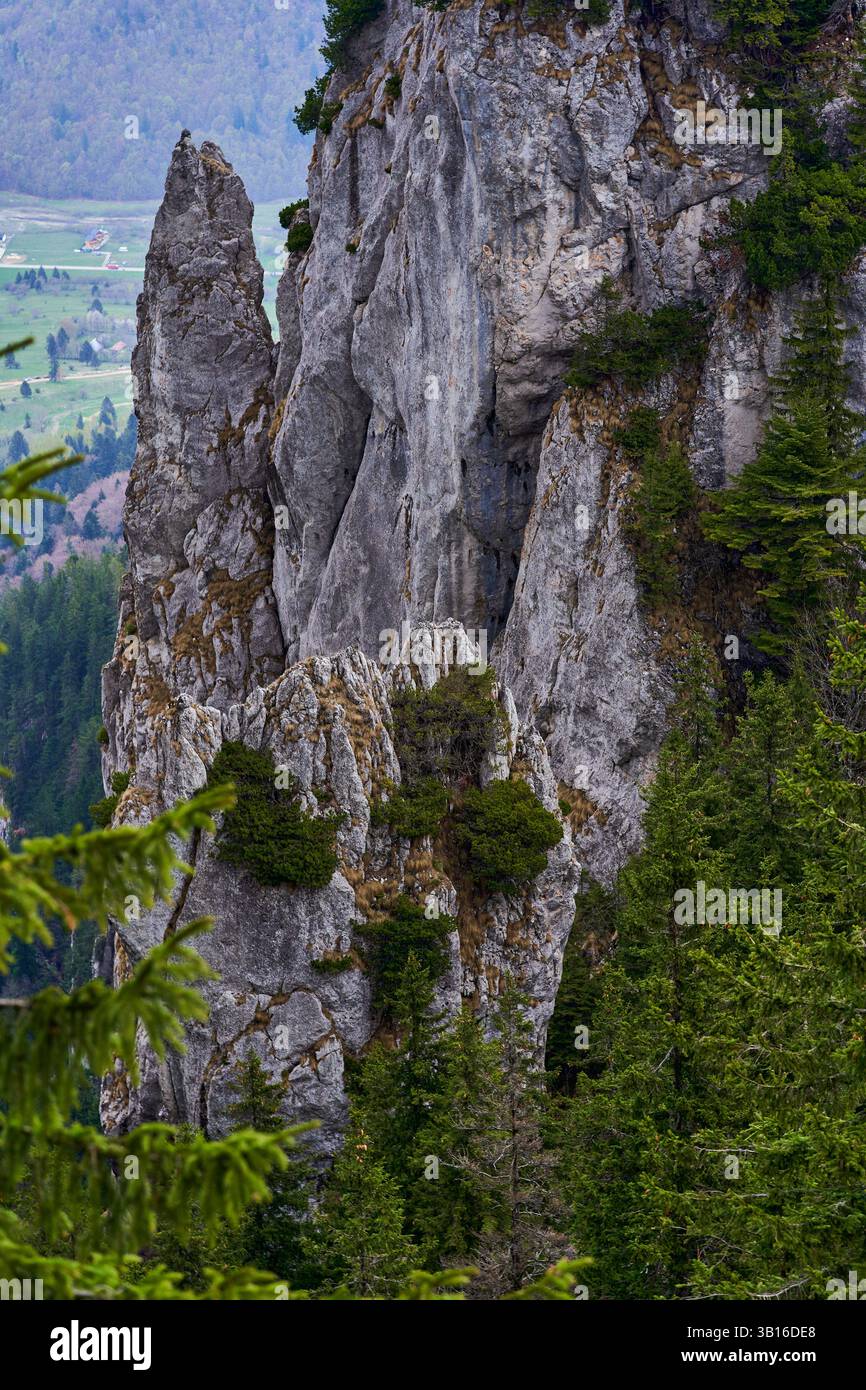 Aerial view of steep limestone spires and rocky formations rising ...