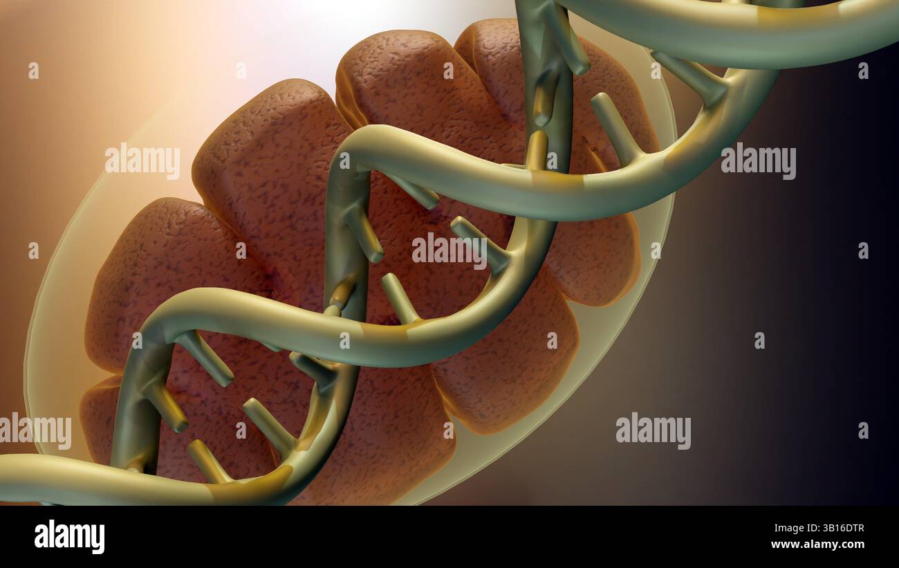 A 3d rendering of a mitochondrion, the powerhouse of the cell ...
