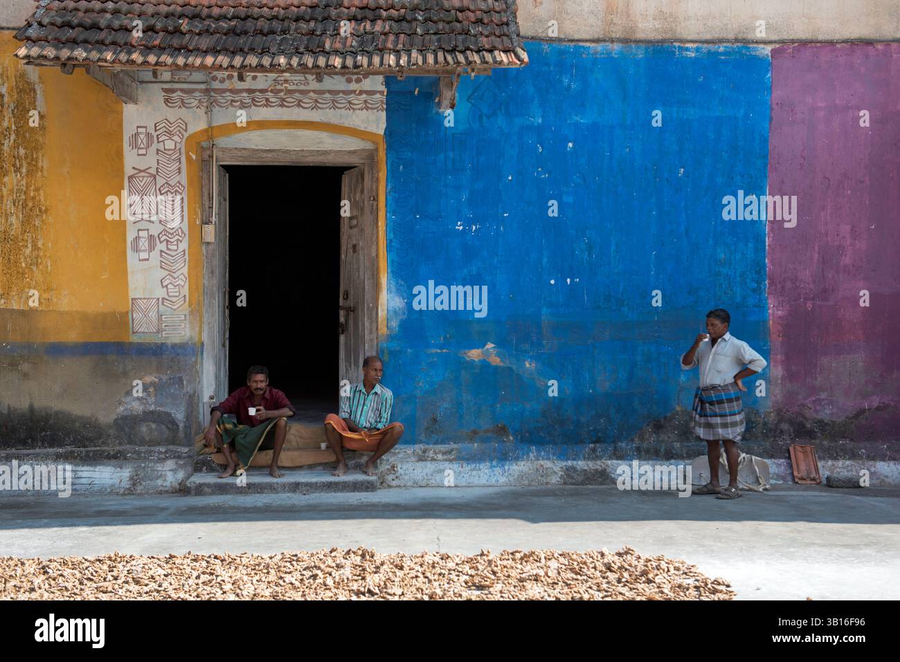 Afternoon tea break from drying freshly harvested ginger roots. Fort ...