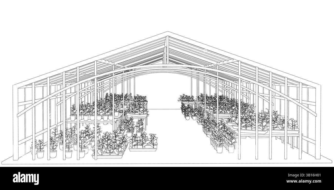 Various house plants Black and White Stock Photos & Images - Alamy