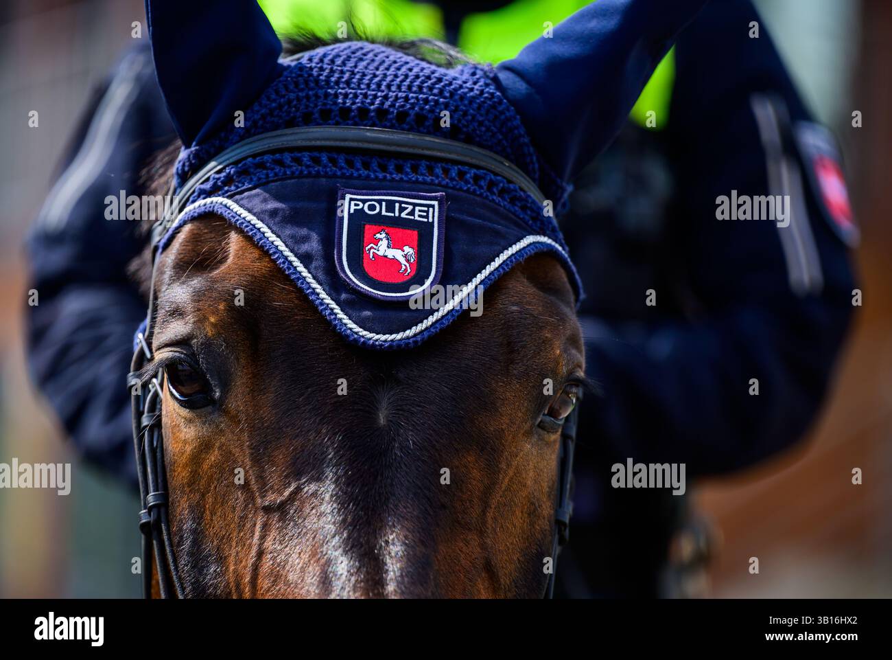 25 April 2025, Lower Saxony, Bleckede: A police rider sits on his ...