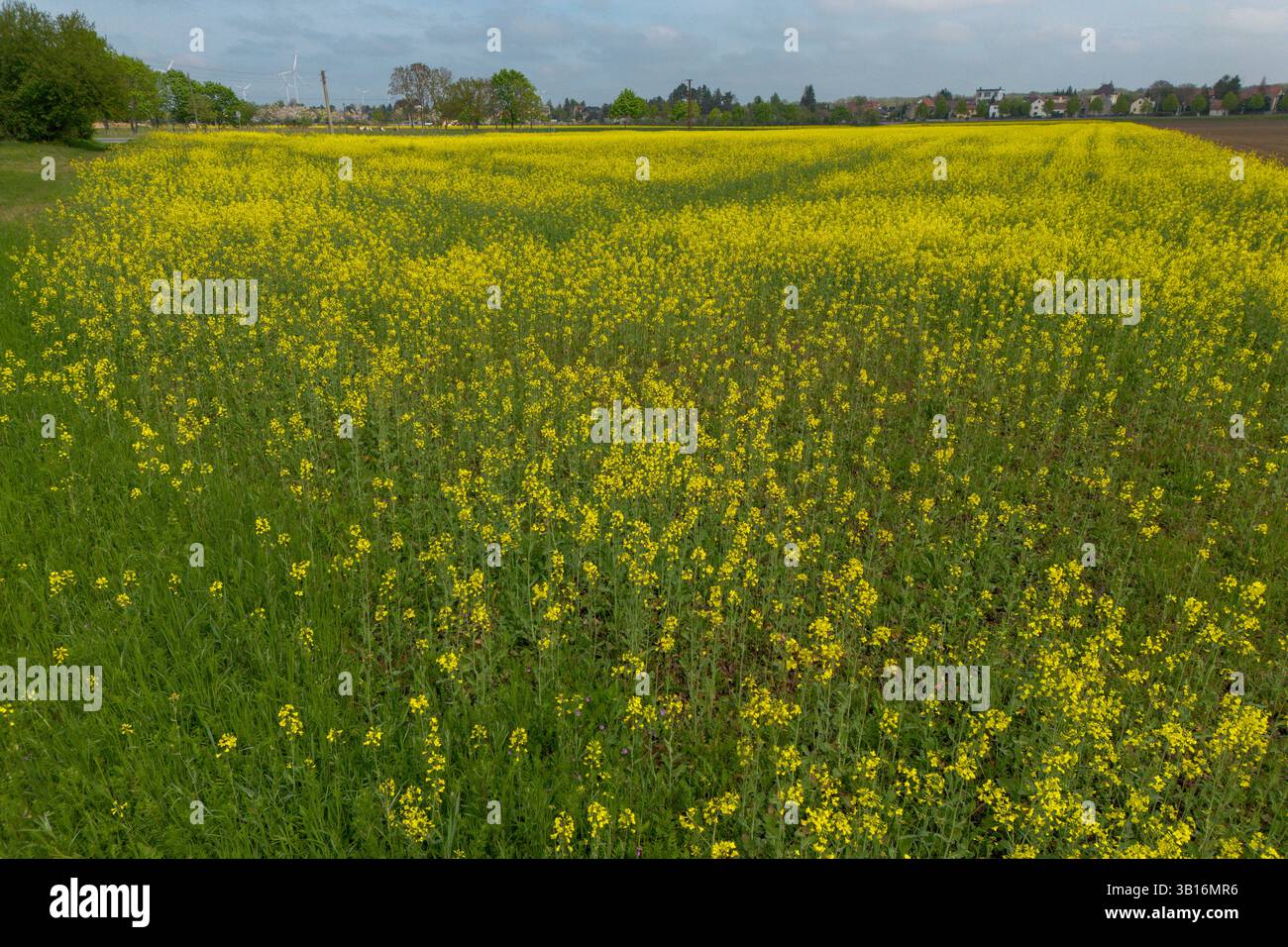 Luftbild Grödel Luftbild von eine Wiese bei der Gemeinde Grödel im ...