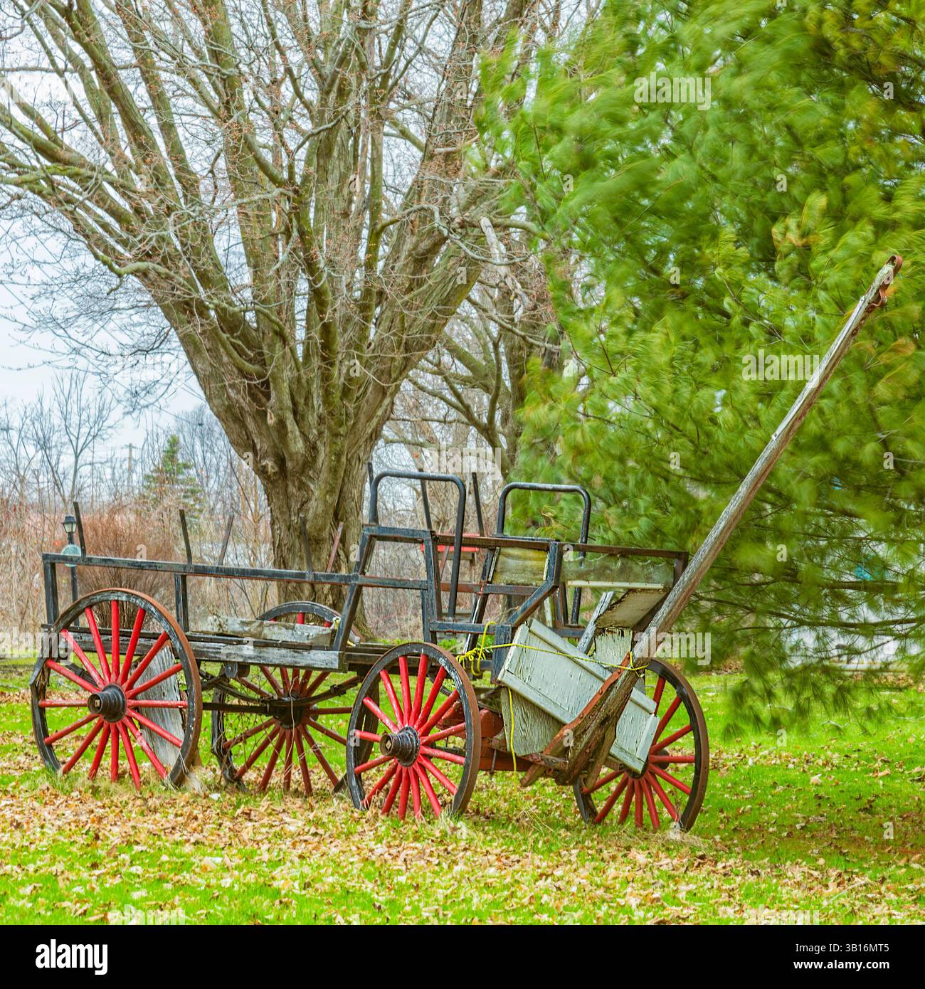 Carriage displays hi-res stock photography and images - Alamy