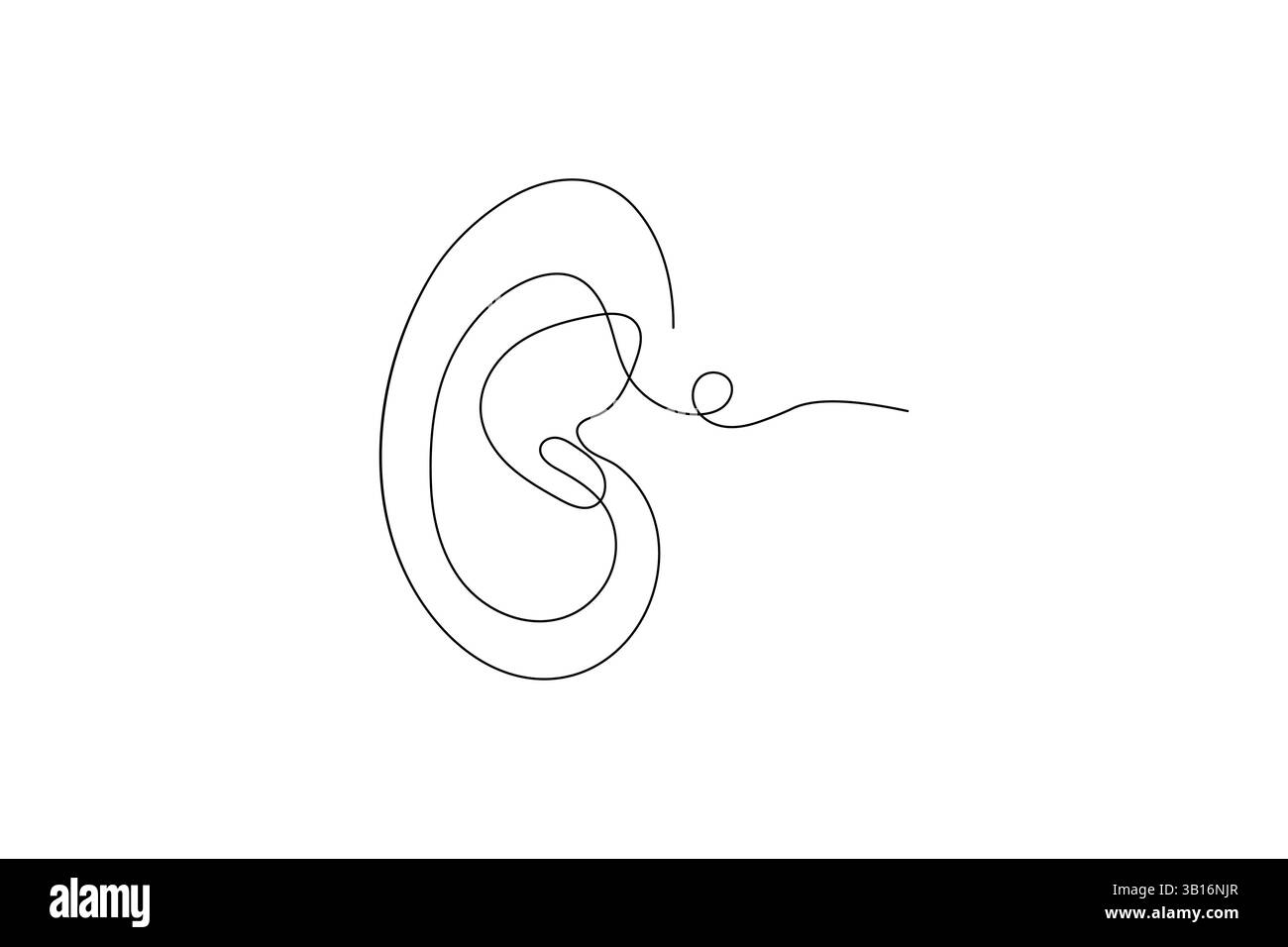 Continuous one line ear hi-res stock photography and images - Alamy