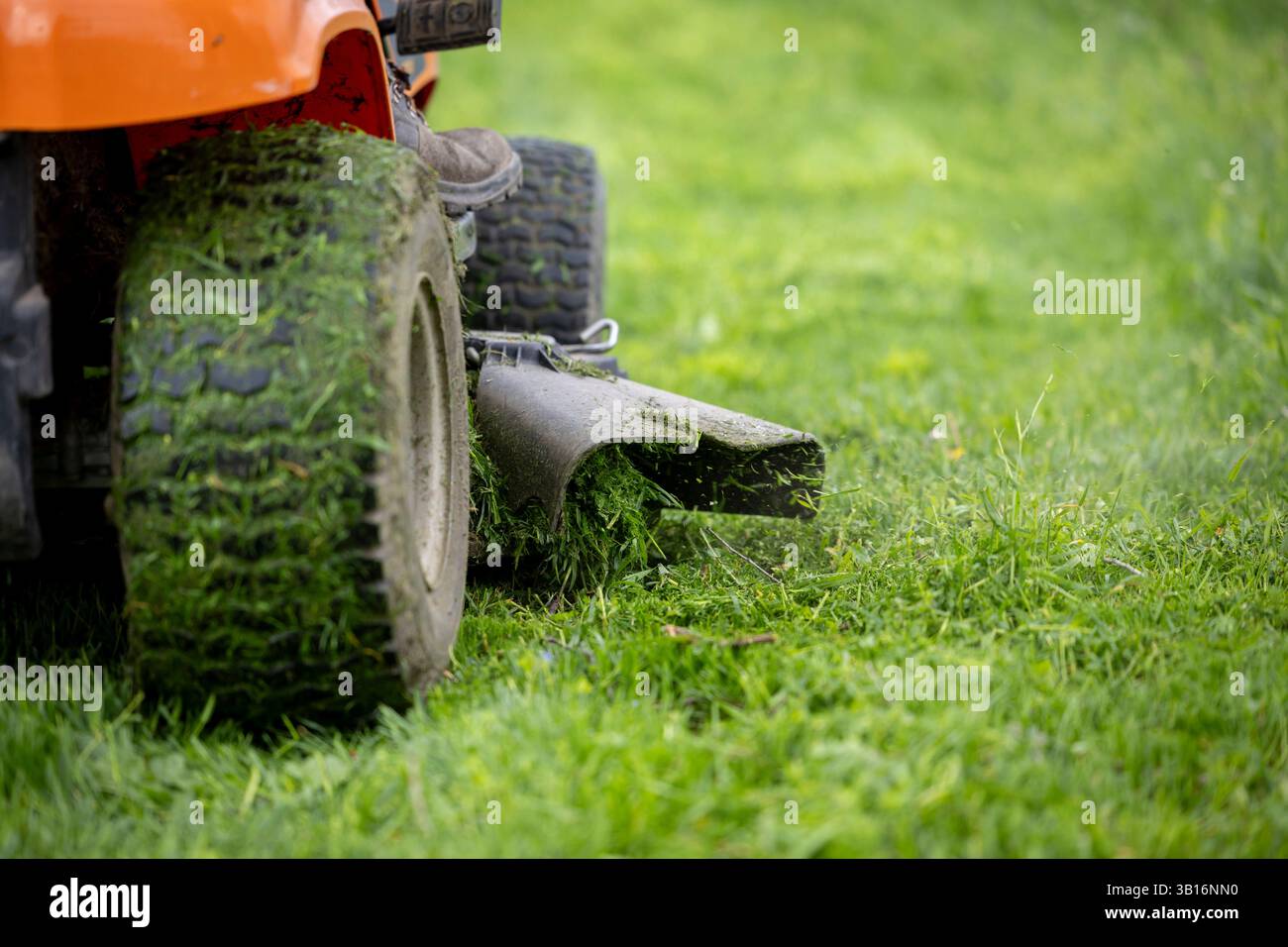 Man operates riding mower, cutting grass in lush green field. The mower ...