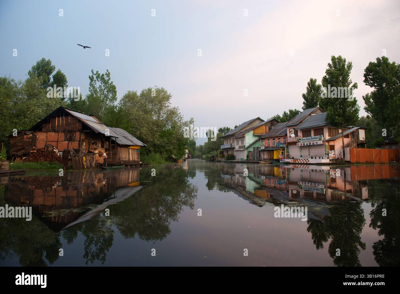 Srinagar on Dal Lake, Kashmir Stock Photo - Alamy
