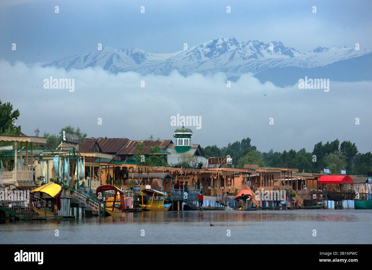 Srinagar on Dal Lake, Kashmir Stock Photo - Alamy
