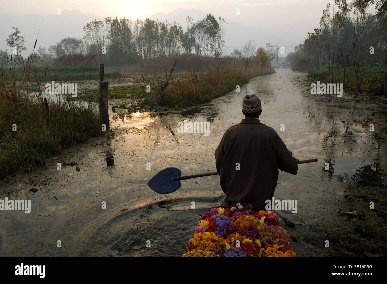 Floating Market workers, Dal Lake, Srinagar, Kashmir Stock Photo - Alamy