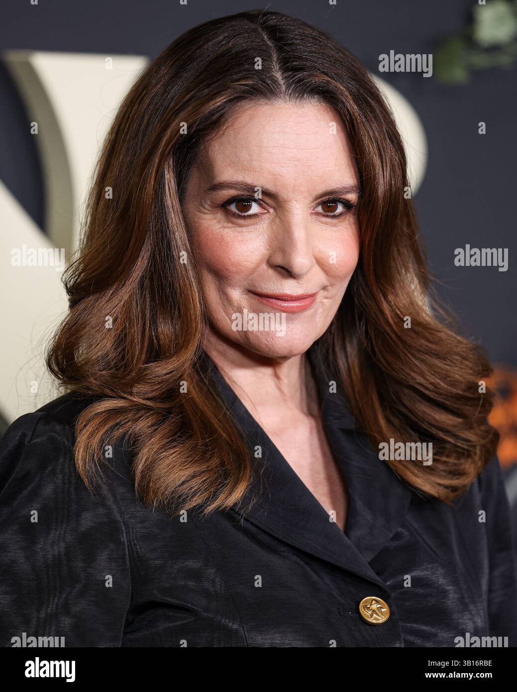 LOS ANGELES, CALIFORNIA, USA - APRIL 24: American actress and comedian ...