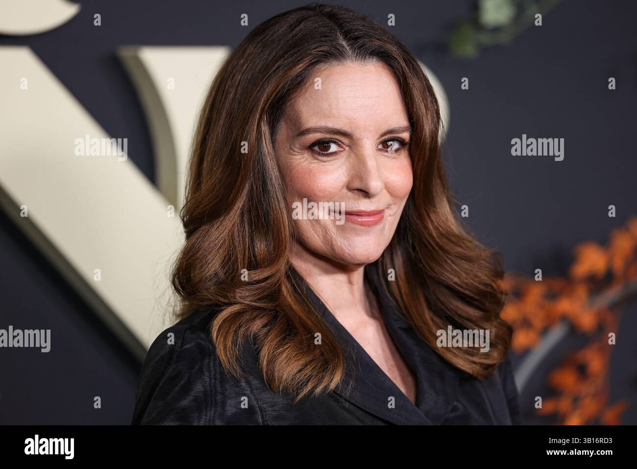 LOS ANGELES, CALIFORNIA, USA - APRIL 24: American actress and comedian ...