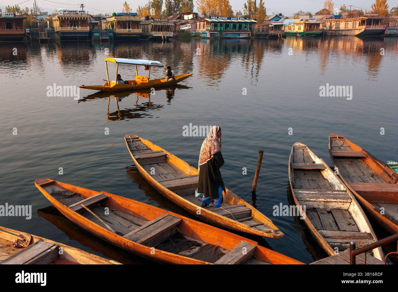 Dal Lake at sunset, Srinagar, Kashmir, India Stock Photo - Alamy