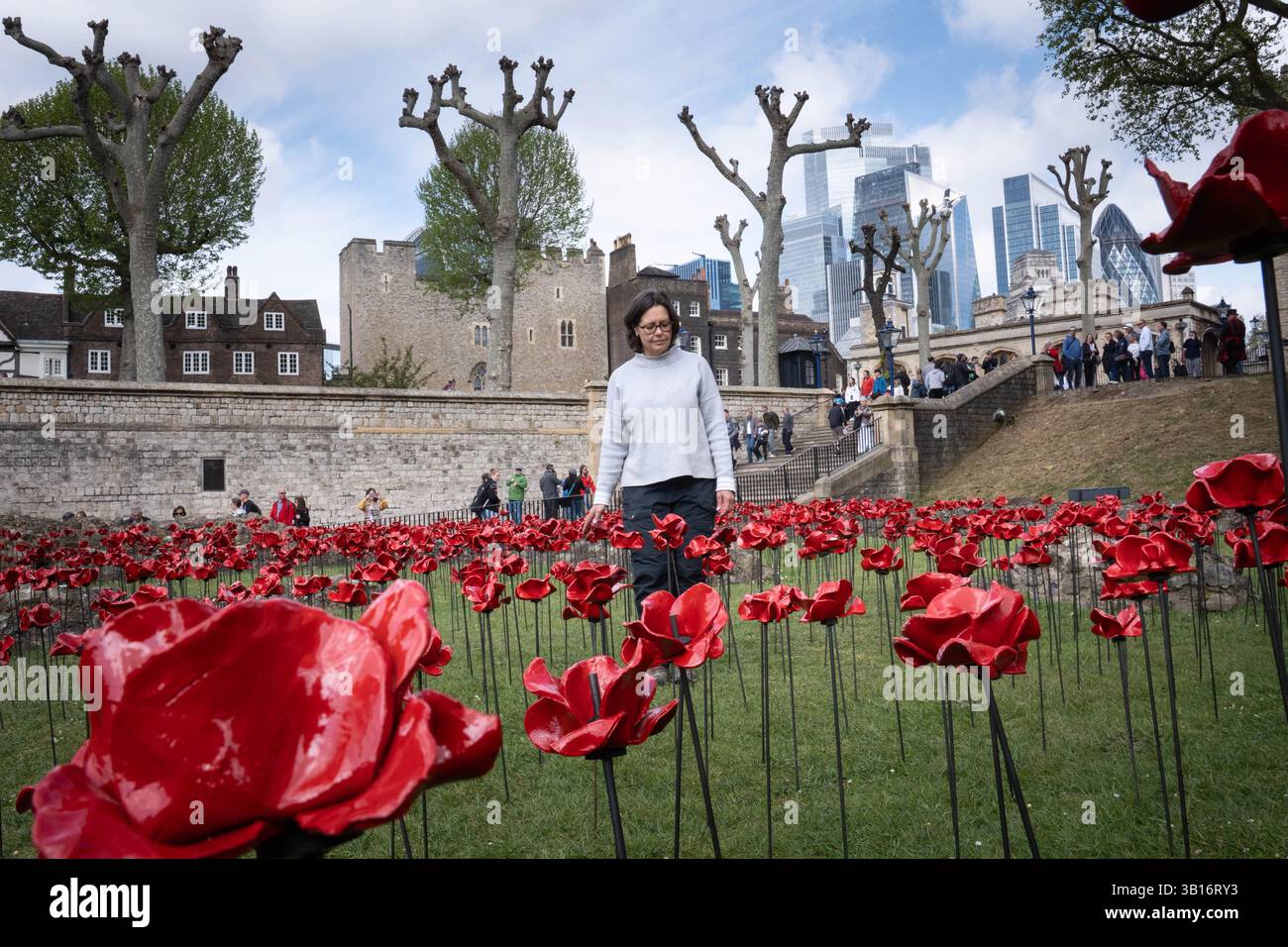 Workers place the first of 30,000 ceramic poppies for the new ...