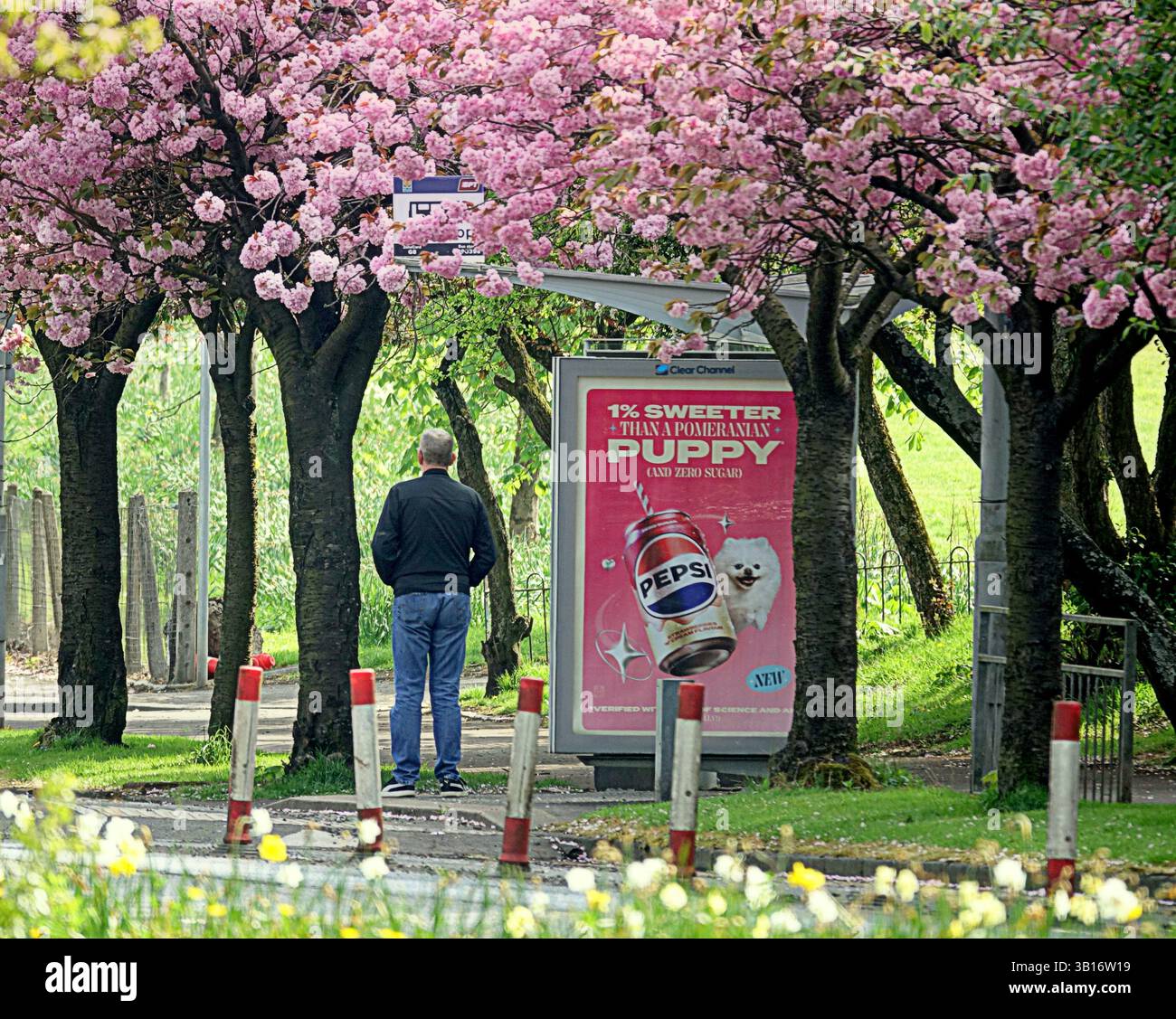Glasgow, Scotland, UK. 25th April, 2025. UK Weather: Spring saw ...