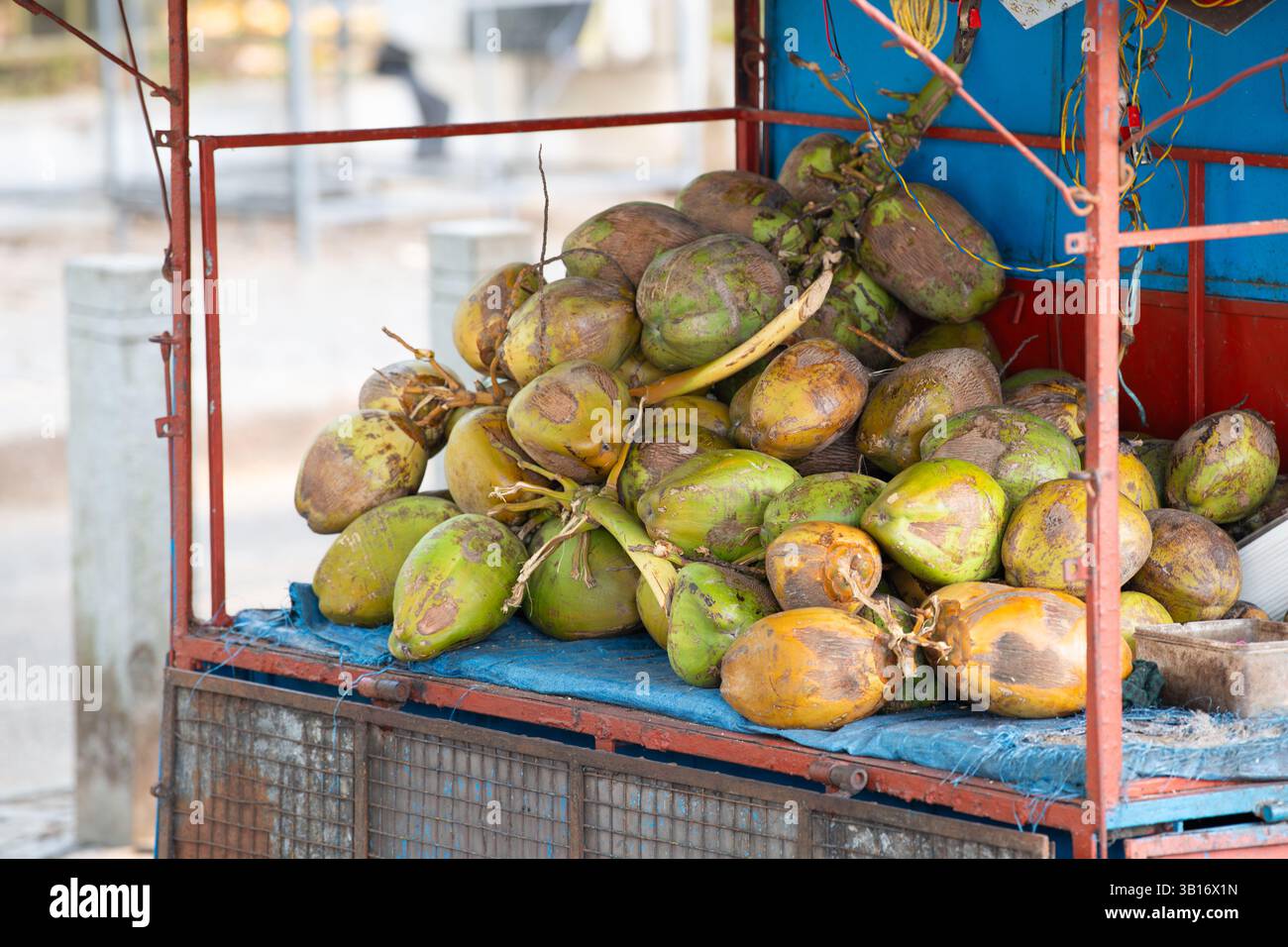 Fresh coconuts on a market stall in India, tropical fruit and milk ...
