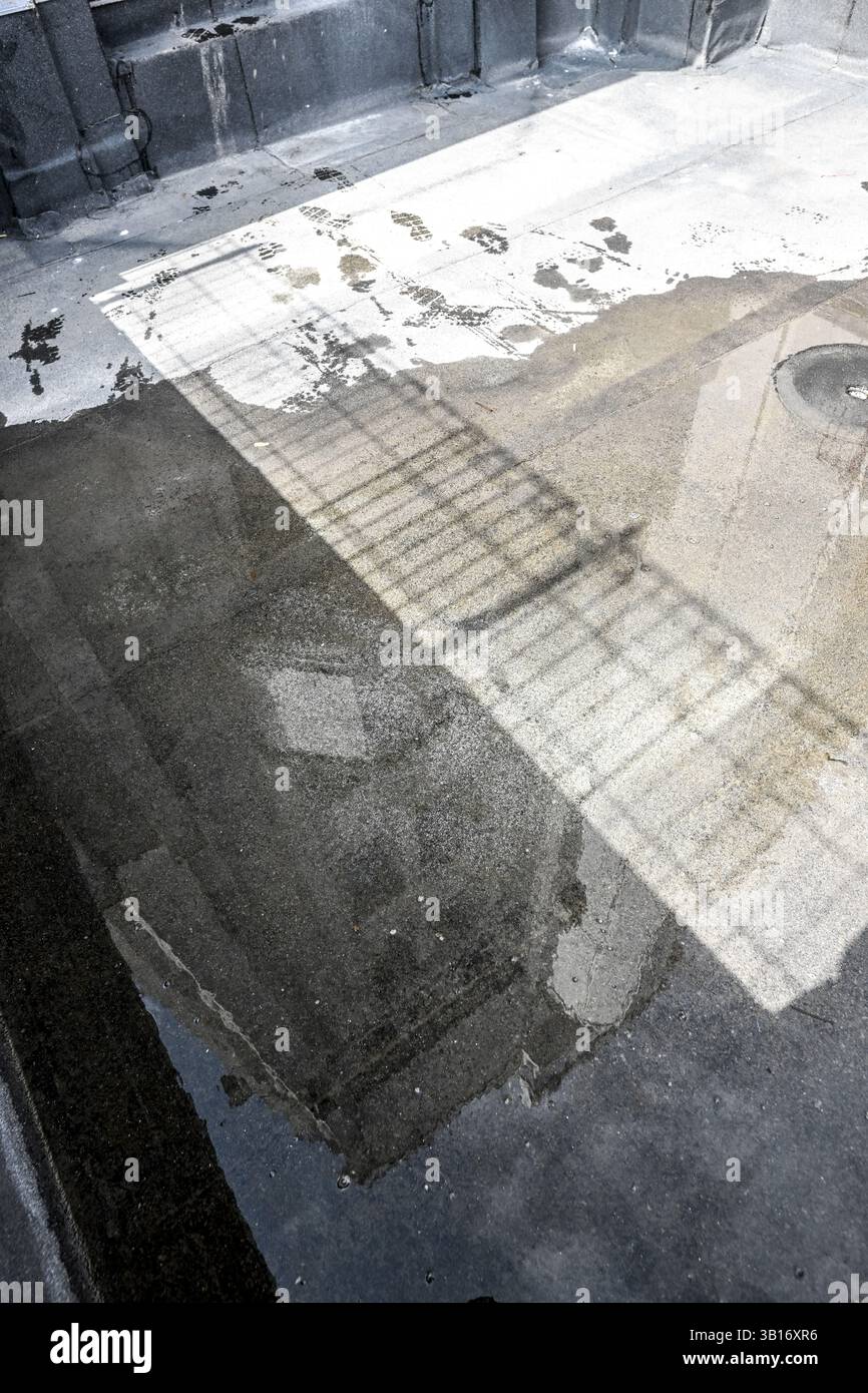 Antwerp, Belgium. 25th Apr, 2025. The Boerentoren tower pictured during ...