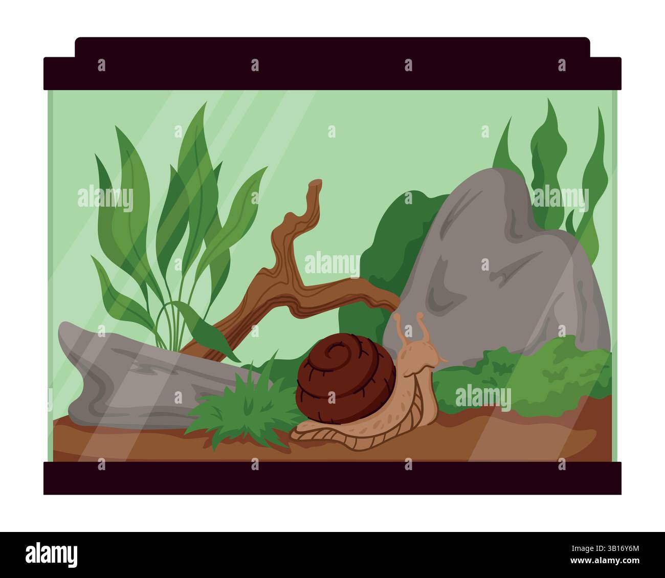 Mollusk on plant Stock Vector Images - Alamy