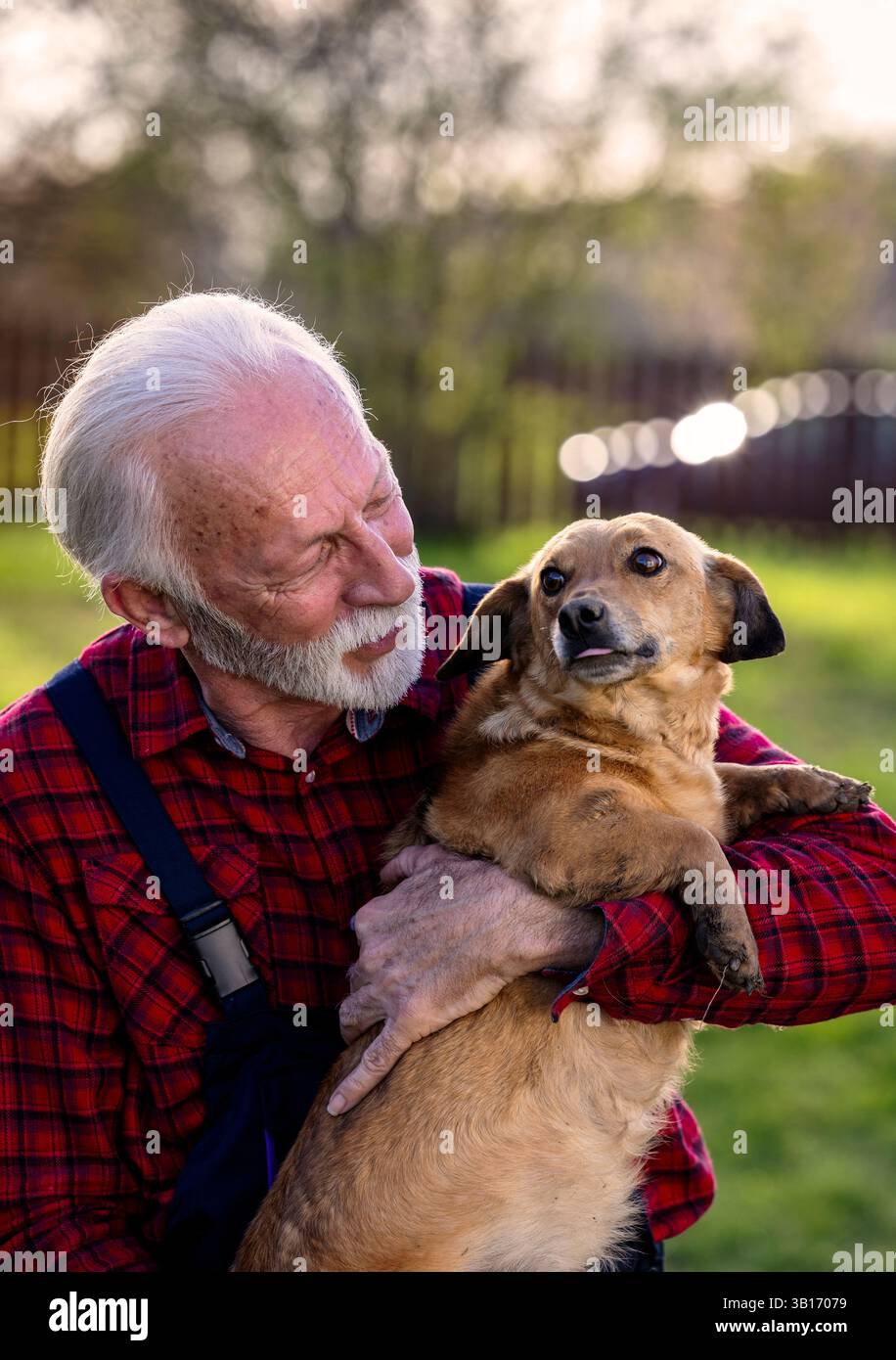 Adopt arms hi-res stock photography and images - Alamy