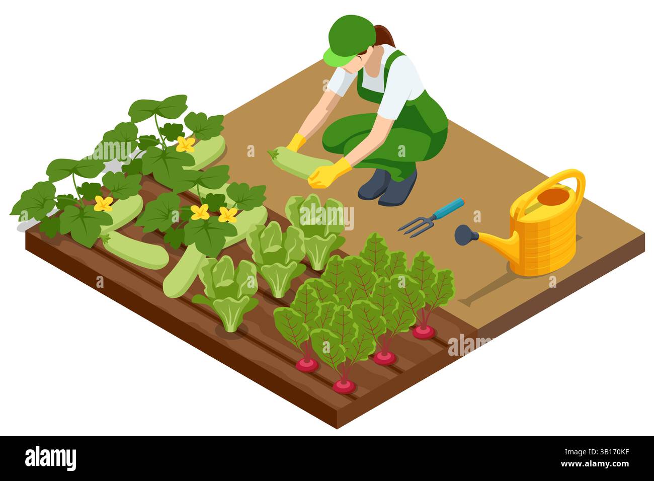 Woman vegetable patch Stock Vector Images - Alamy