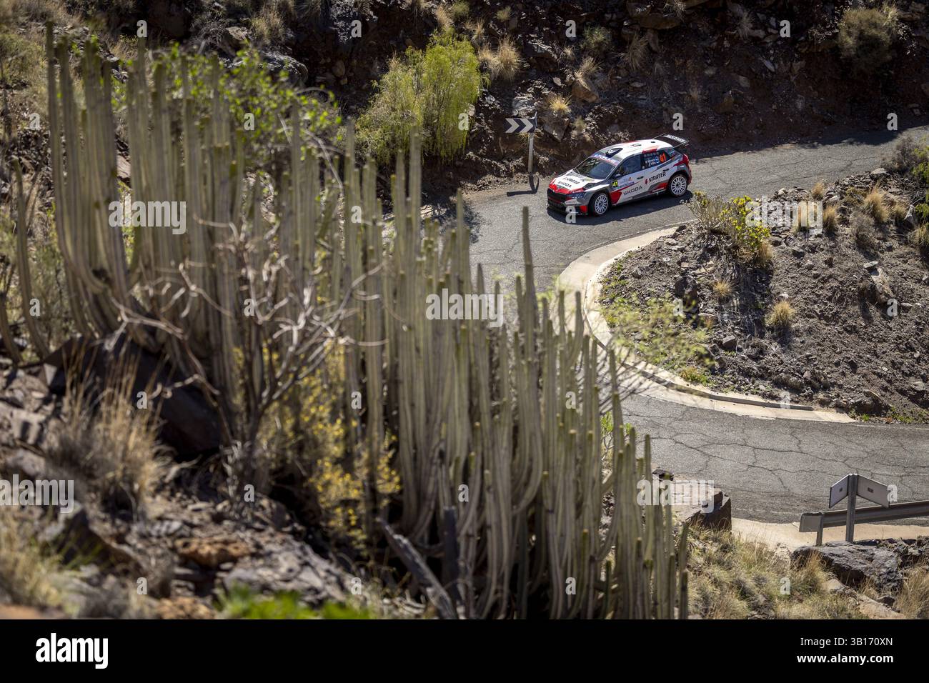 41 Robert VIRVES, Jakko VIILO, Skoda Fabia RS Rally2, action during the ...
