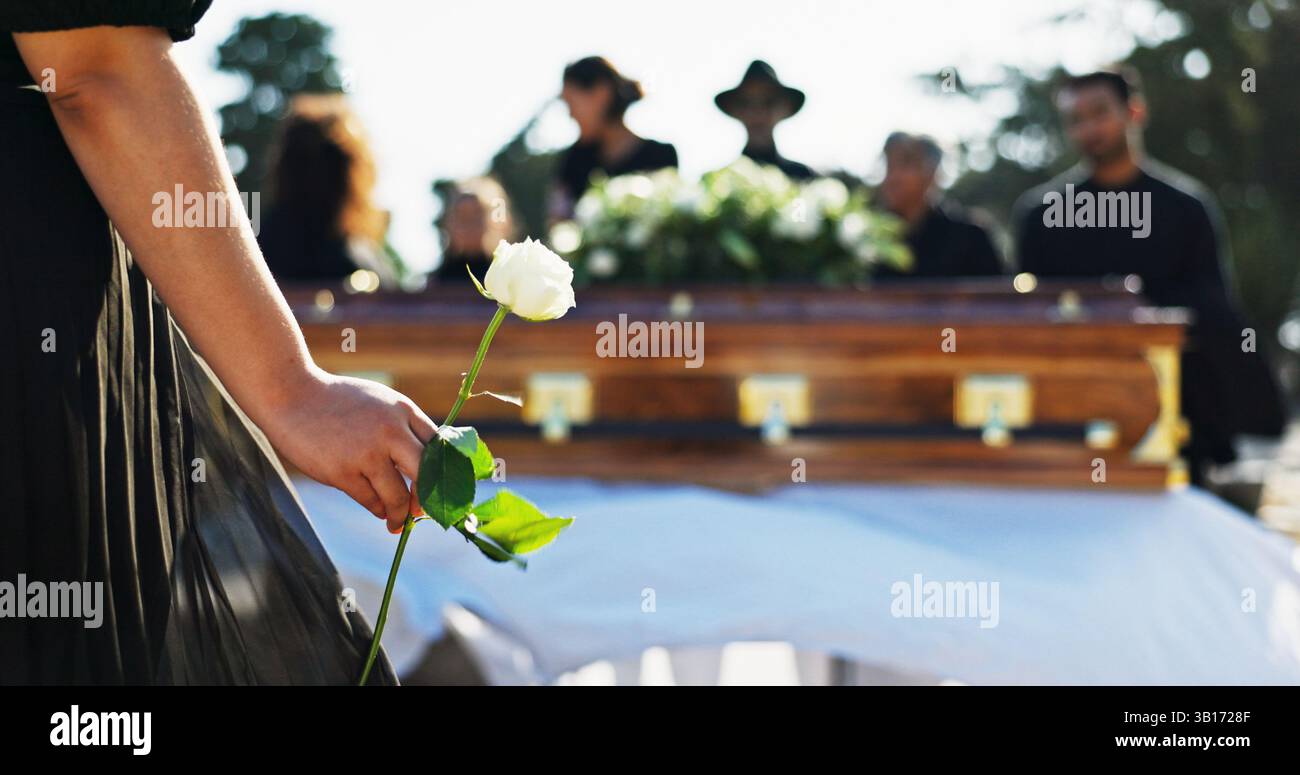 Hand, rose and woman at cemetery for funeral ceremony, grief and ...
