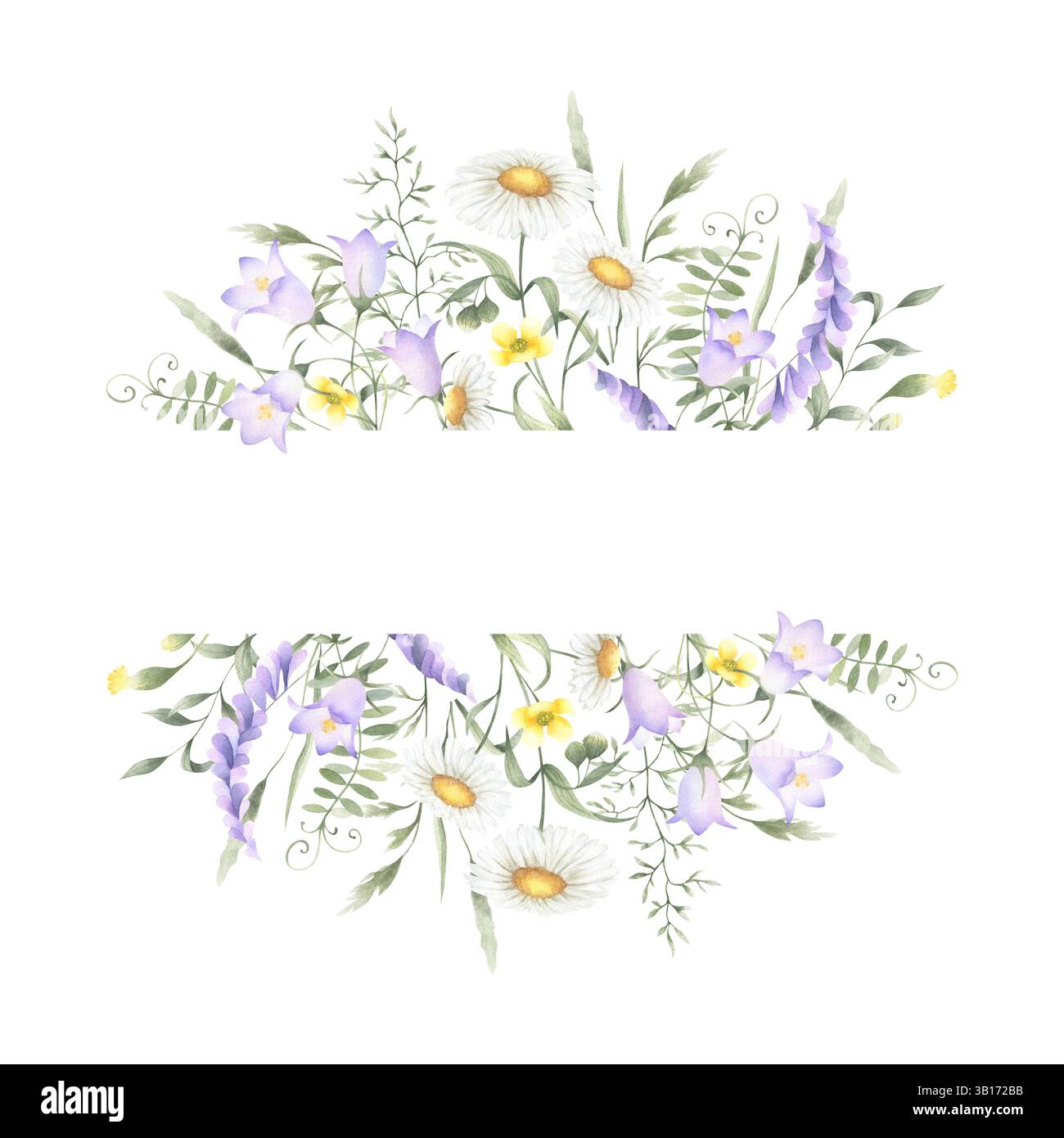 Watercolor wildflowers chamomile, bellflower, buttercup, mouse pea and ...