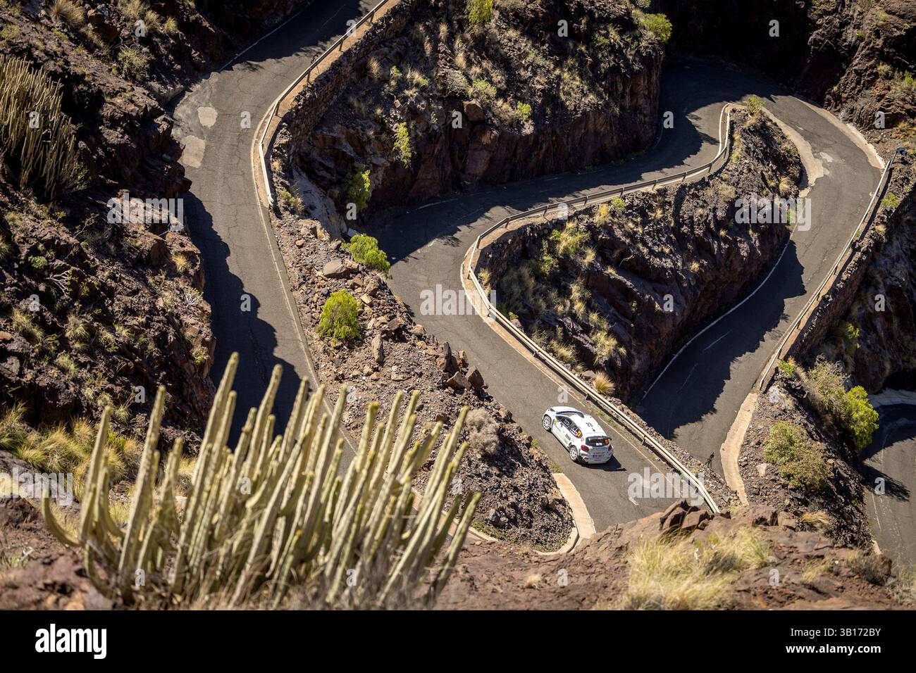 Las Palmas, Espagne. 25th Apr, 2025. 23 Jan ČERNÝ, Ondřej KRAJČA ...