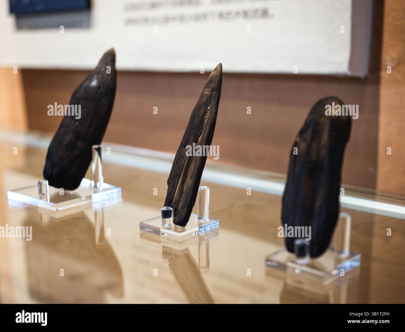 (250425) -- CHENGDU, April 25, 2025 (Xinhua) -- This photo taken on ...